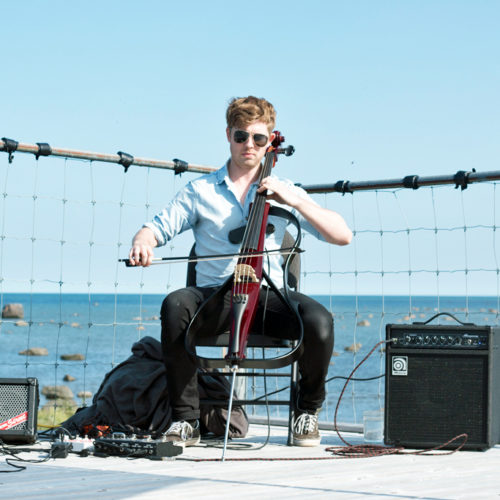 Birds, Bears and Belugas abound on namesake adventure at Seal River