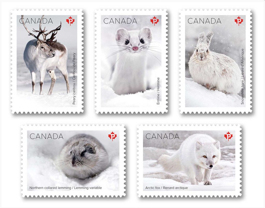 Churchill Wild photographers honoured in Canada Post Stamp Collection