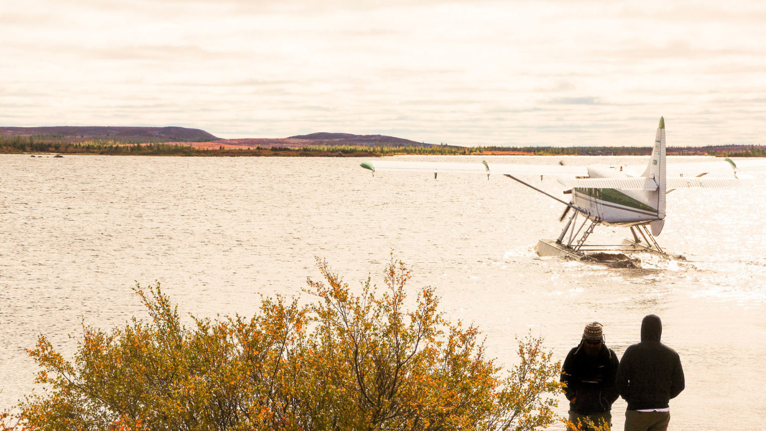 Arctic Safari | Polar Bear Tours | Churchill Wild