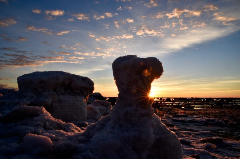 Polar Bear Photo Safari | Polar Bear Tours | Churchill Wild