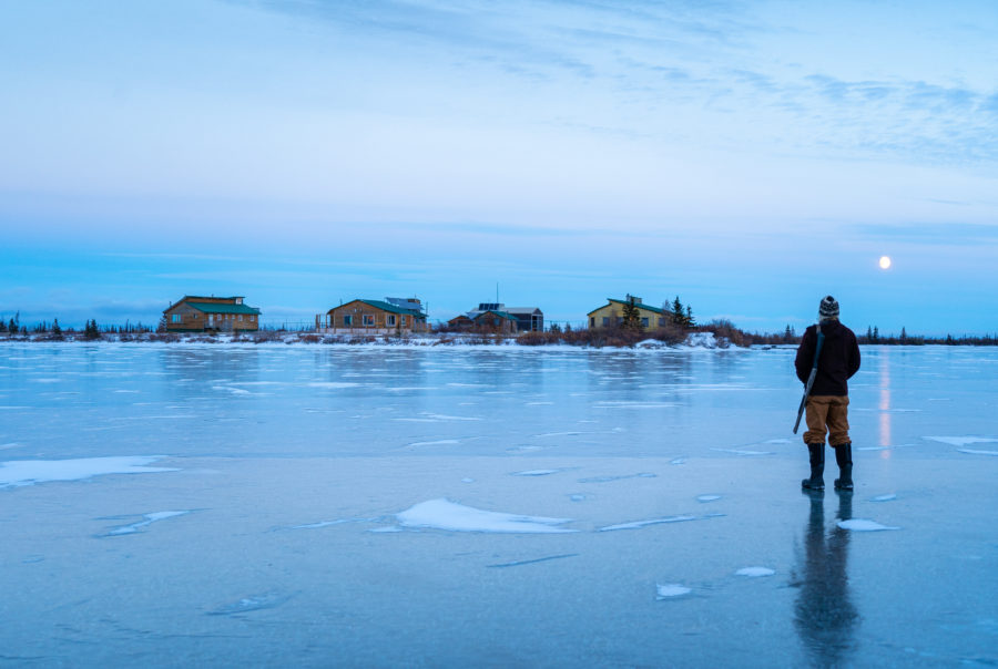 polar bear photo Archives - Churchill Wild Polar Bear Tours