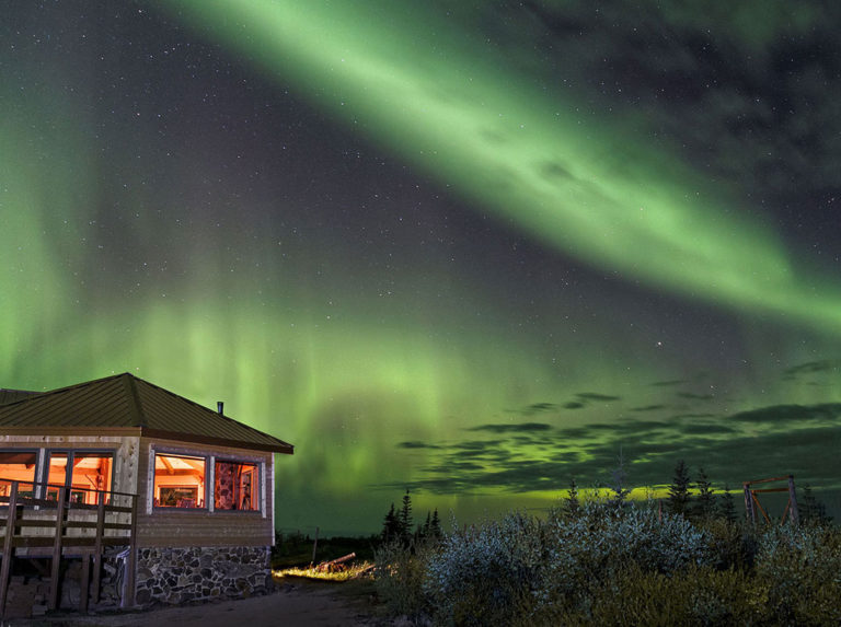 Churchill Wild | Polar Bear Tours | 1 (866) UGO-WILD