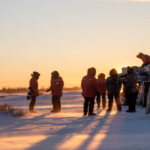 Churchill Wild 2023 Guest Photo Contest Winners