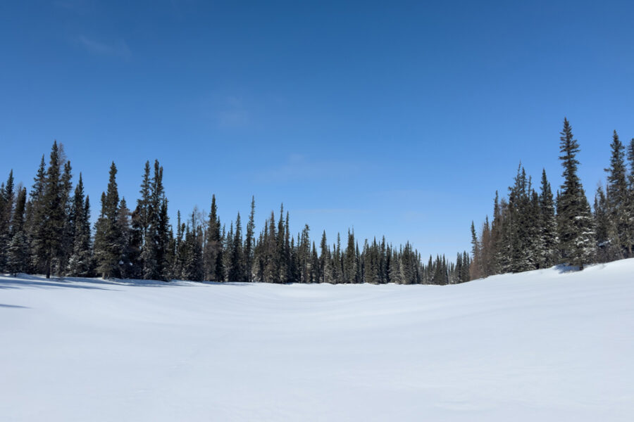 Wolves in a Snowstorm, Beautiful (Cold) Days at Nanuk - Churchill Wild ...