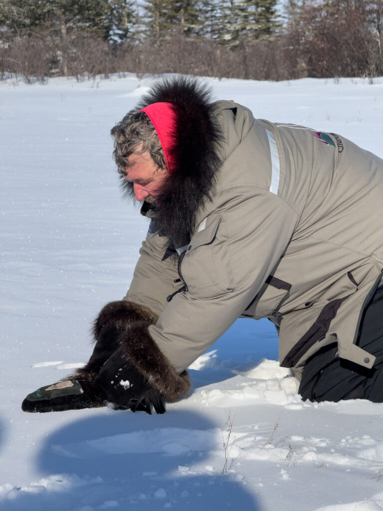 Wolves in a Snowstorm, Beautiful (Cold) Days at Nanuk - Churchill Wild ...