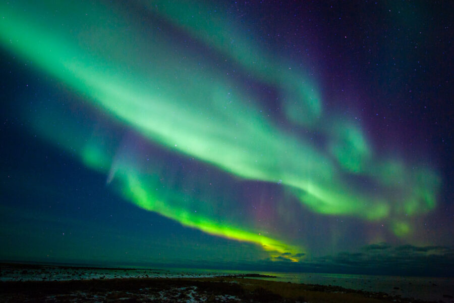 Summer Polar Bear Photo Safaris Begin. Dennis Fast Remembers ...