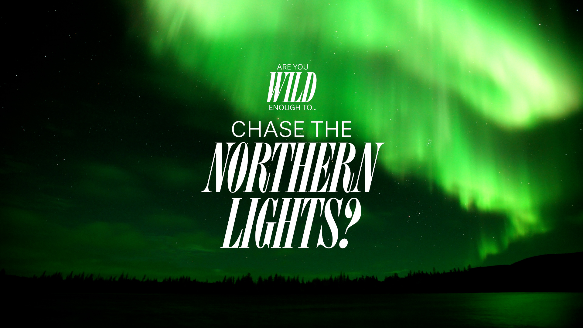 Churchill Wild | Polar Bear Tours | 1 (866) UGO-WILD