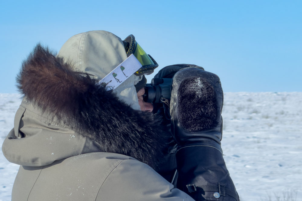 Behind the Scenes at Nanuk Polar Bear Lodge